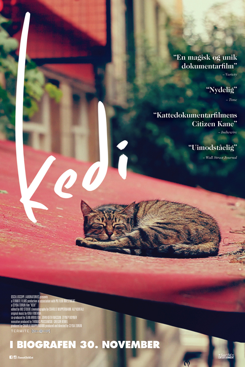 Kedi (2D) | Nordisk Film Biografer